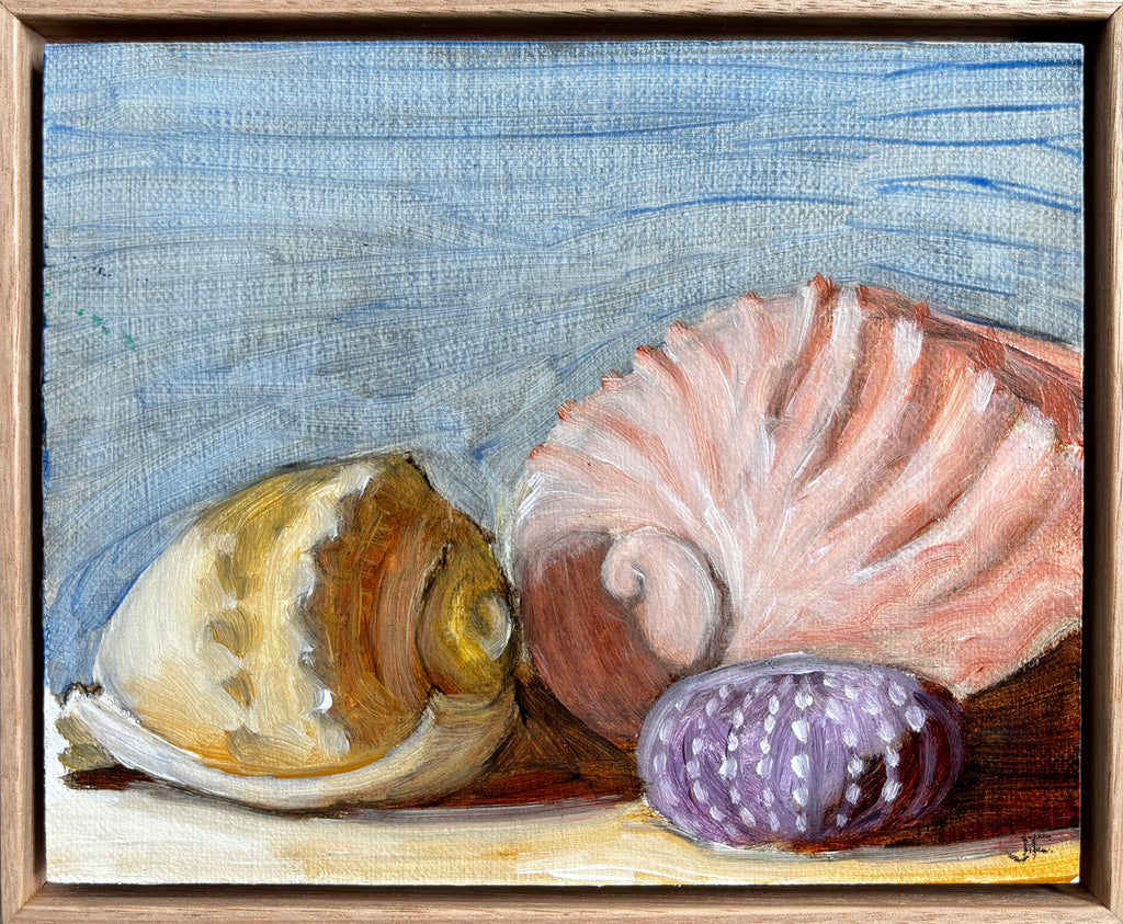 Seashell, Abalone Shell, Sea urchin – Art to Art