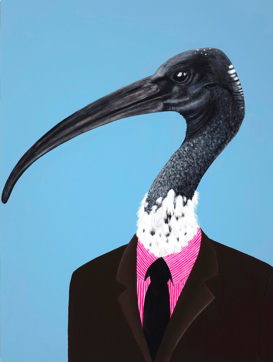 Ibis in Suit – Art to Art