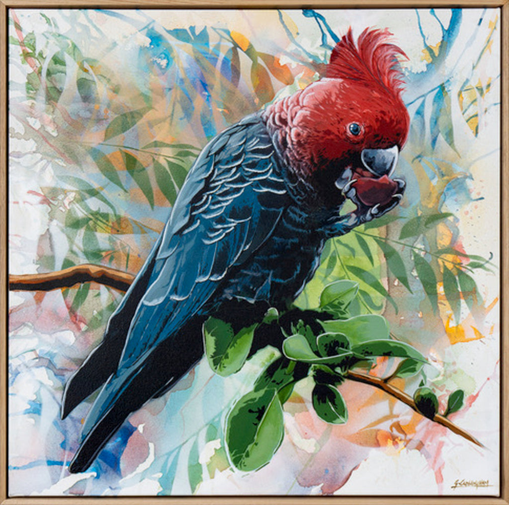 Gang Gang Style #2 | Geoff Cunningham Artwork – Art to Art
